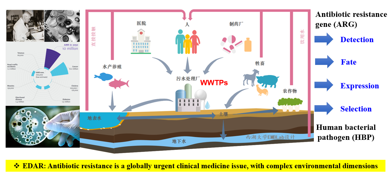 Ping Li - 西湖大学EMBLab